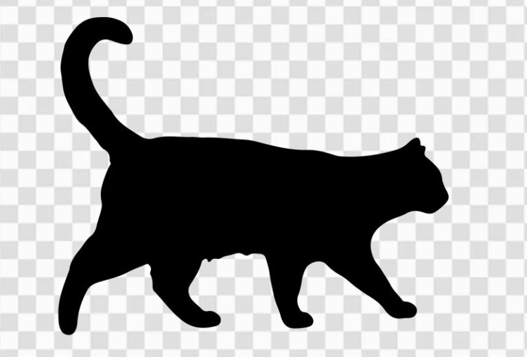 Walking Cat Silhouette Vector Clipart On Transparent Background Png ...