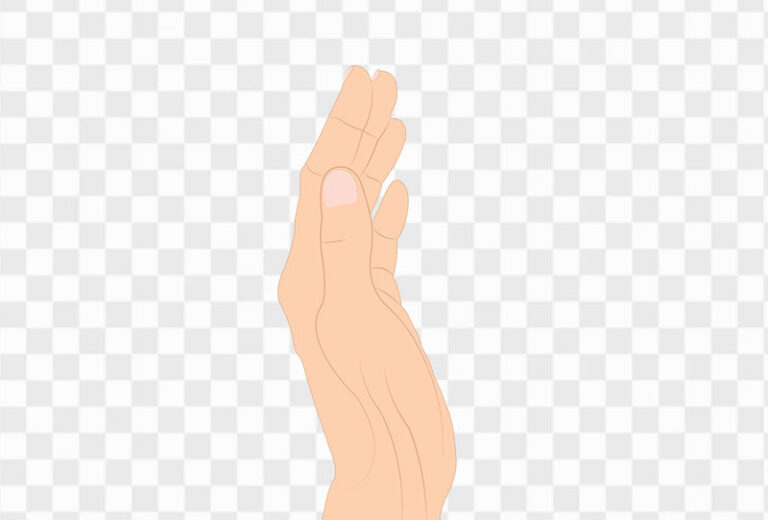 Human Hand Stop Symbol Vector Clipart Png Image On Transparent ...