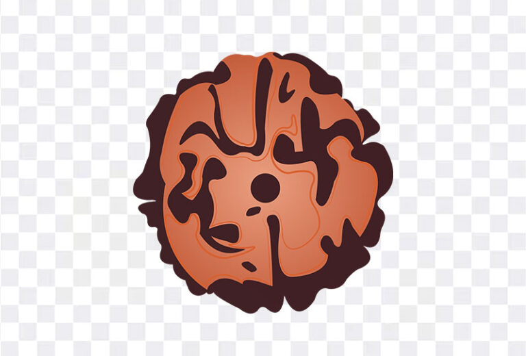 Lord Shiva Rudraksha Vector Clipart Png Transparent Image For Free ...