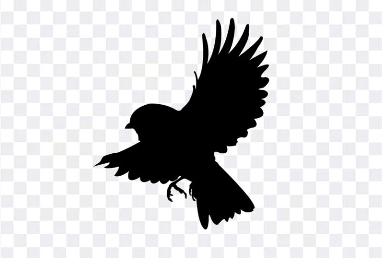 Black Silhouette Of Bird Fly Vector Png Transparent Image Free Download ...